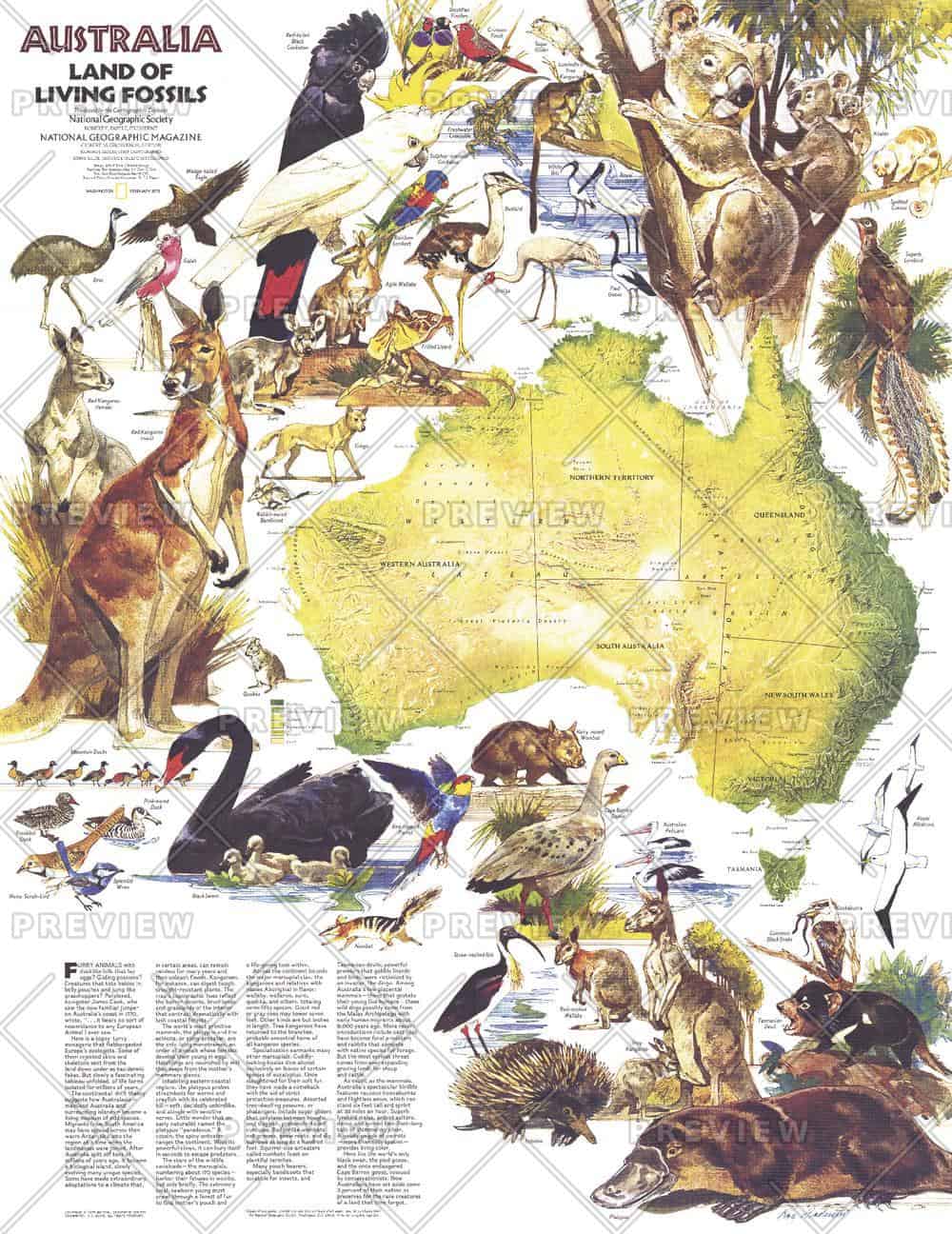 Australia, Land of Living Fossils 1979 - National Geographic